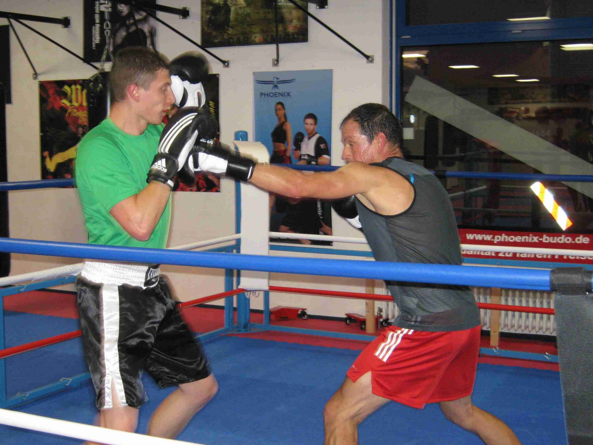 Kampfsport - Warriors Martial Arts Team